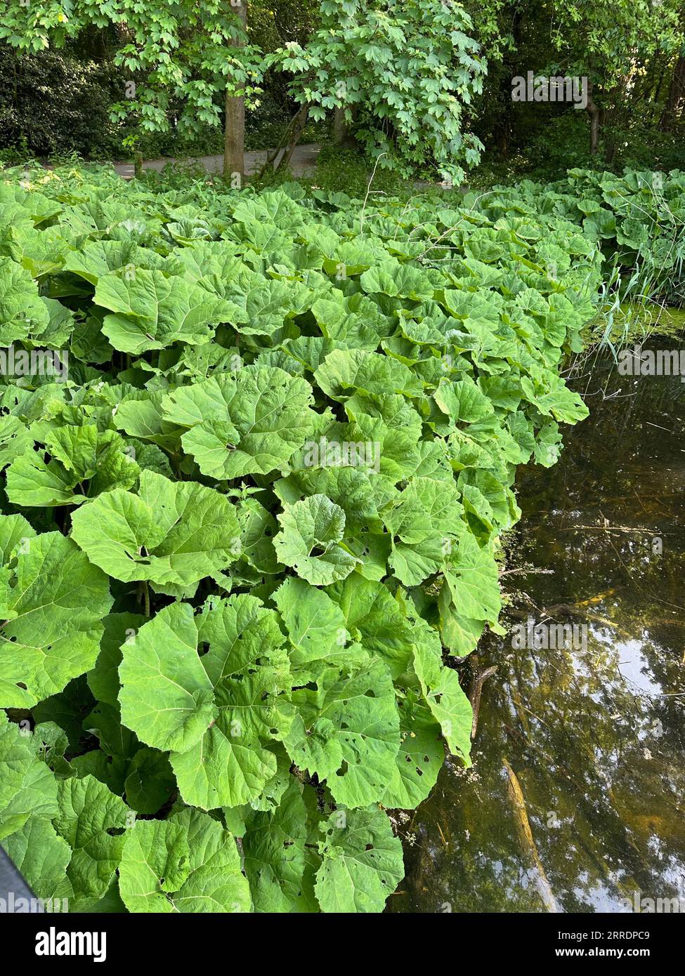 Riverside hybrid hi-res stock photography and images - Alamy