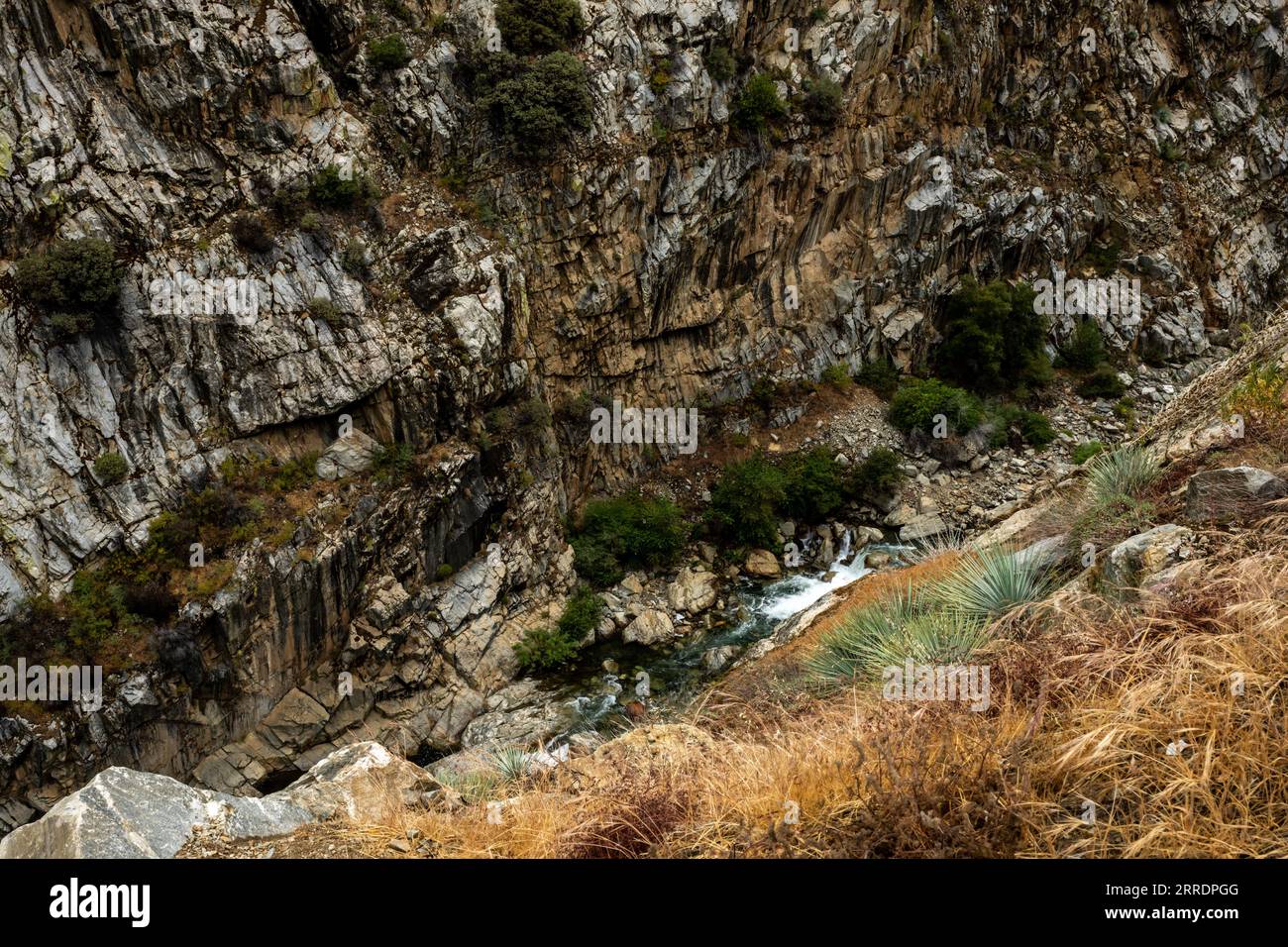 Steep Drop Down Into The Kings Canyon And The Kings River Below in ...