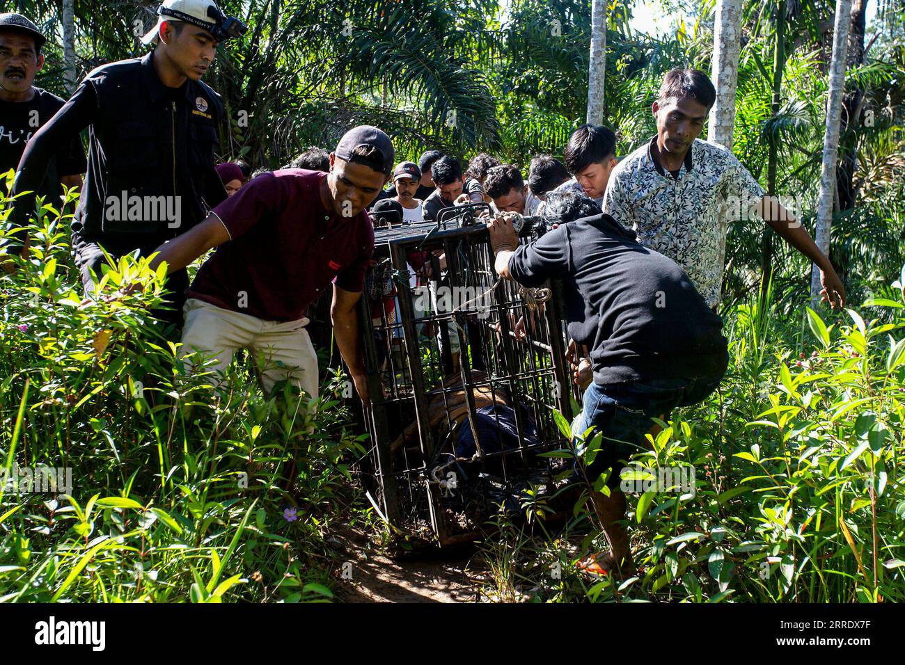 220111 -- WEST SUMATRA, Jan. 11, 2022 -- People carry a three-year-old ...