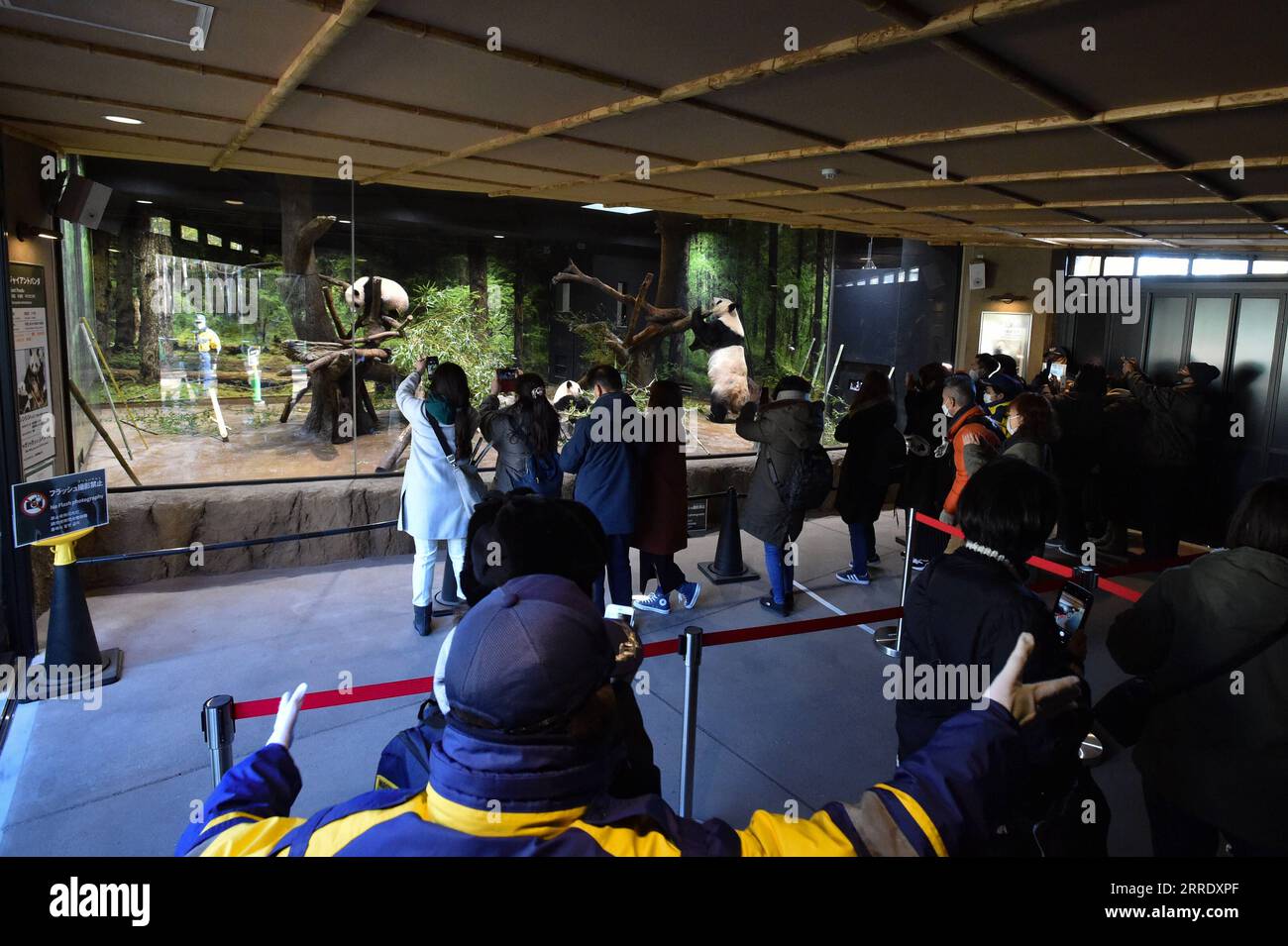 220112 -- TOKYO, Jan. 12, 2022 -- Visitors see twin giant panda cubs ...
