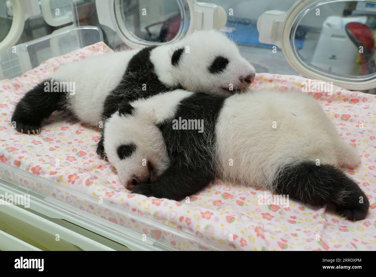 220112 -- TOKYO, Jan. 12, 2022 -- Photo taken on Aug. 5, 2021 shows ...