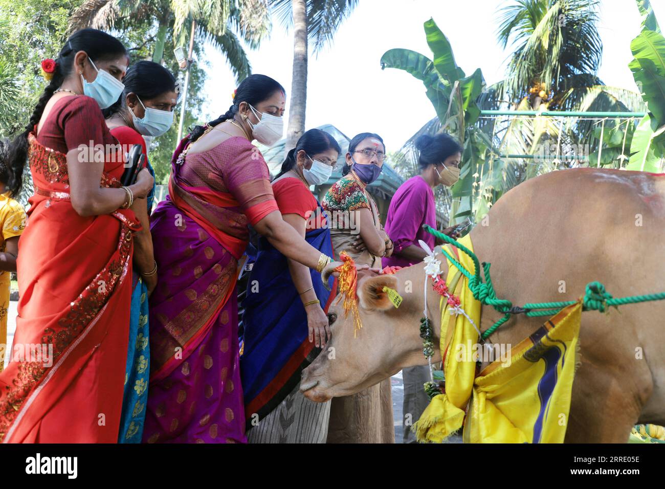 Lanka colombo matu hi-res stock photography and images - Alamy