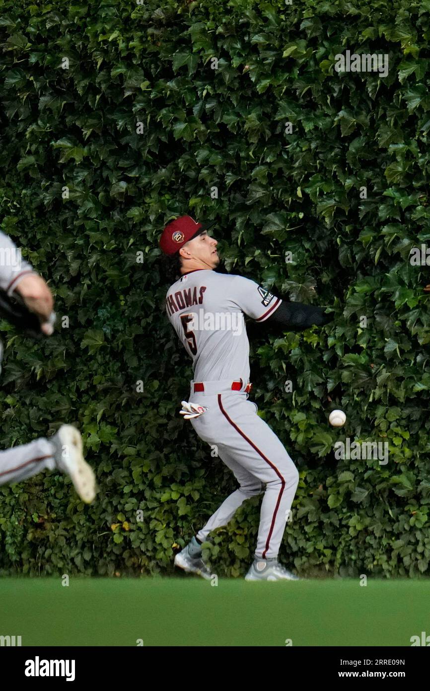Arizona Diamondbacks center fielder Alek Thomas goes into the ivy after ...