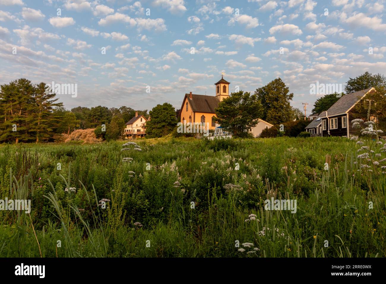 Round Pond Maine USA wildflower field on an early summer morning with ...