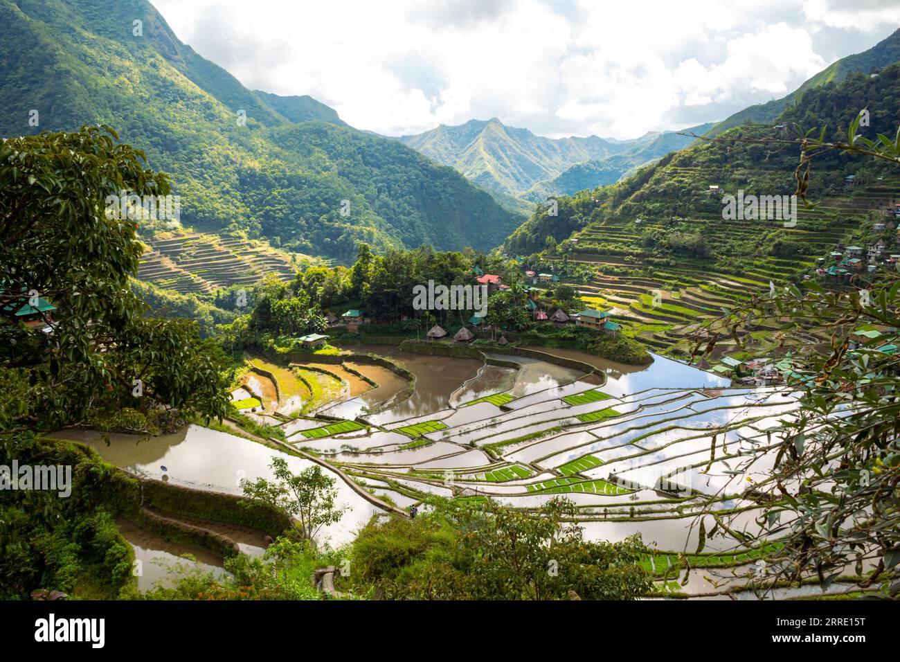 Batad rice terraces in Ifugao, Banaue, Philippines. Batad is a village ...
