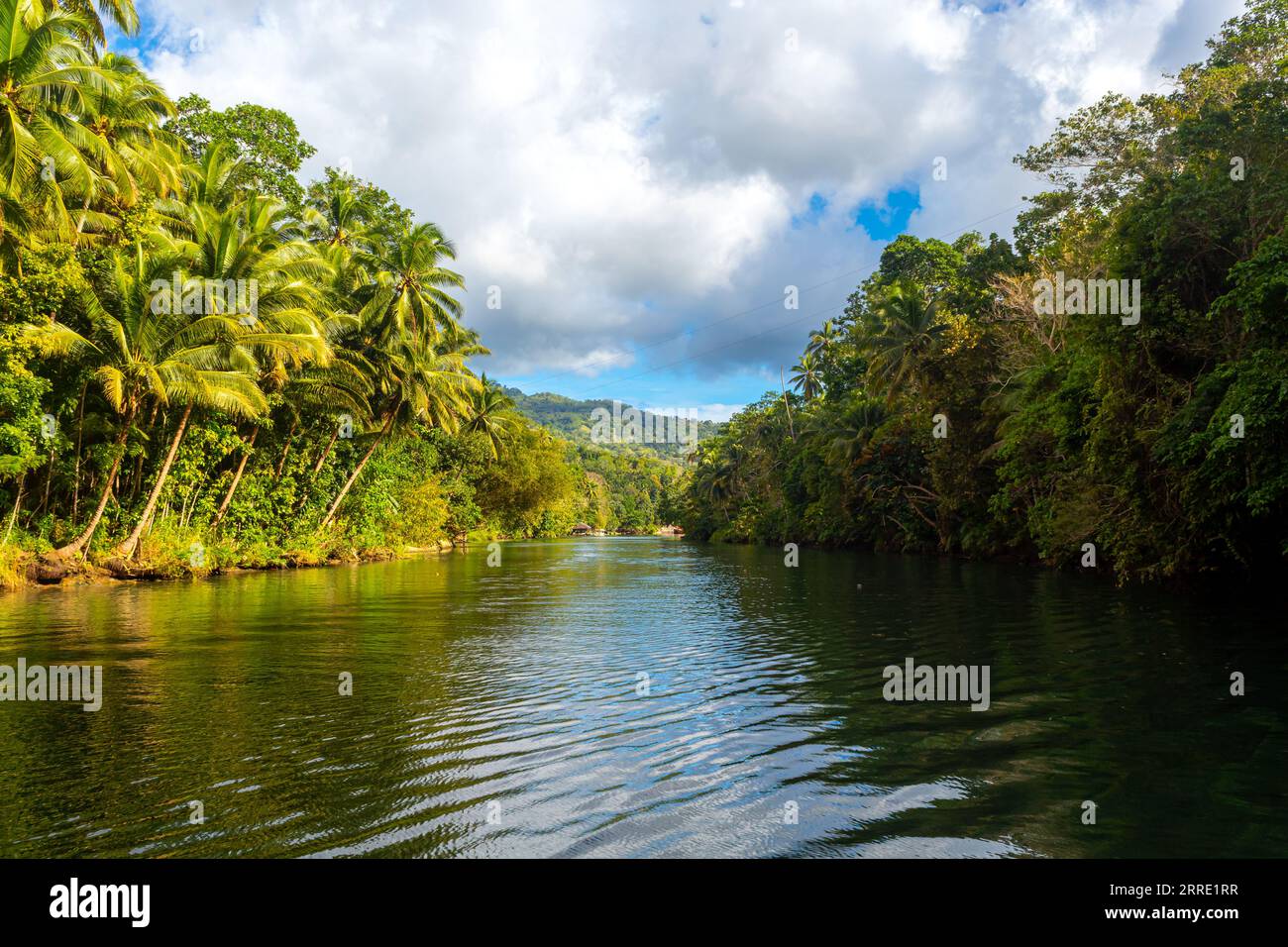 Tropical jungle river - Loboc river. Bohol, Philippines, cloudy sky ...