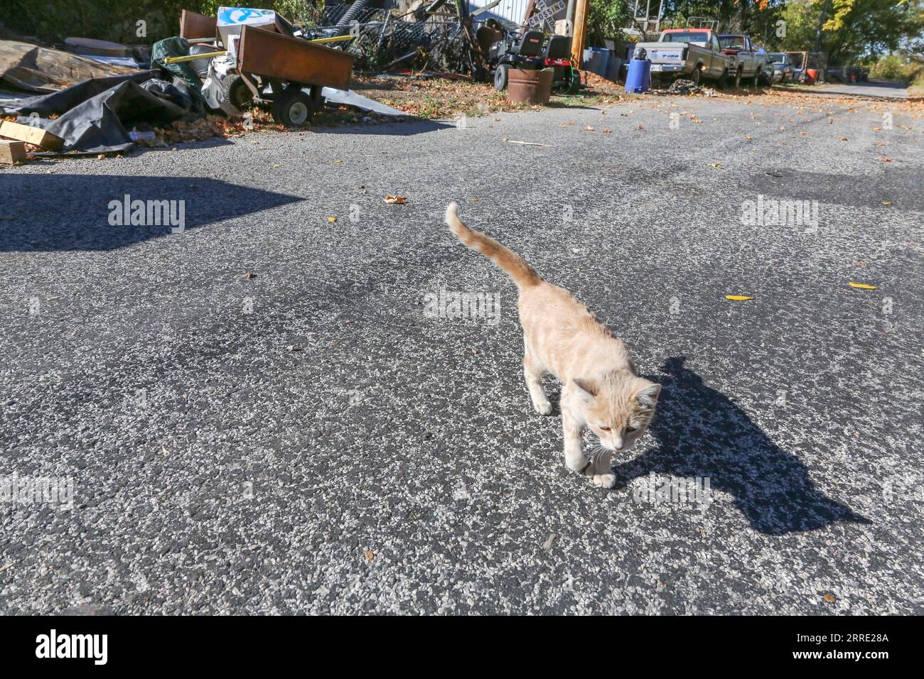 Avilla, Missouri - a living ghost town Stock Photo - Alamy
