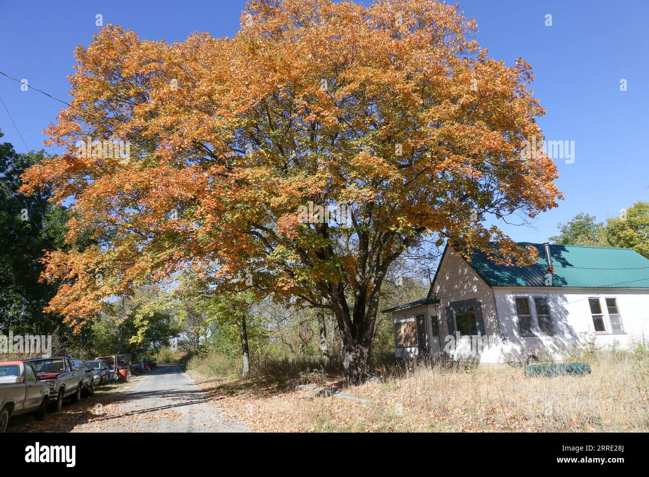 Avilla, Missouri - a living ghost town Stock Photo - Alamy