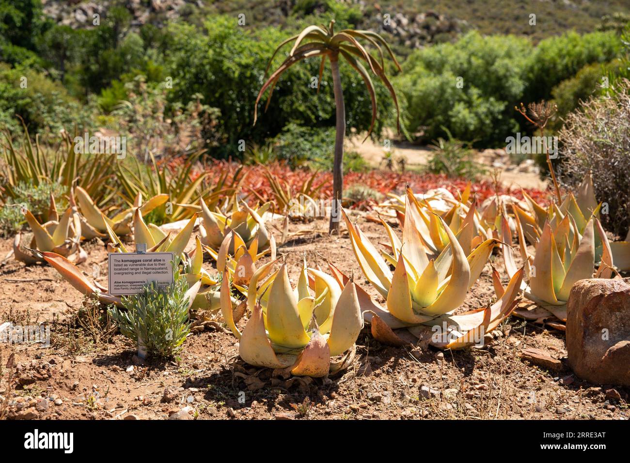 220124 -- WORCESTER, Jan. 24, 2022 -- Photo taken on Jan. 23, 2022 ...