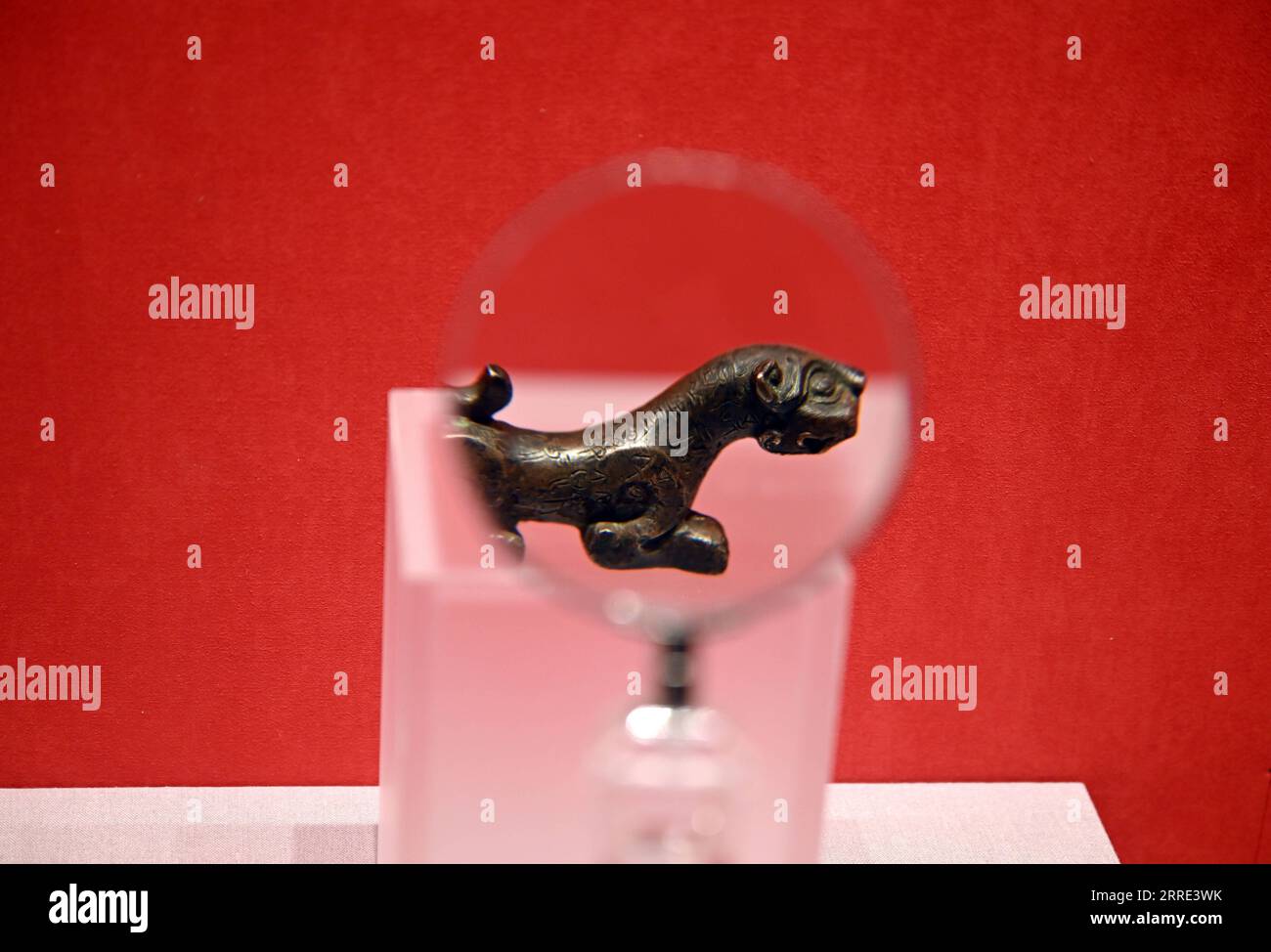 220125 -- BEIJING, Jan. 25, 2022 -- Photo taken on Jan. 25, 2022 shows ...