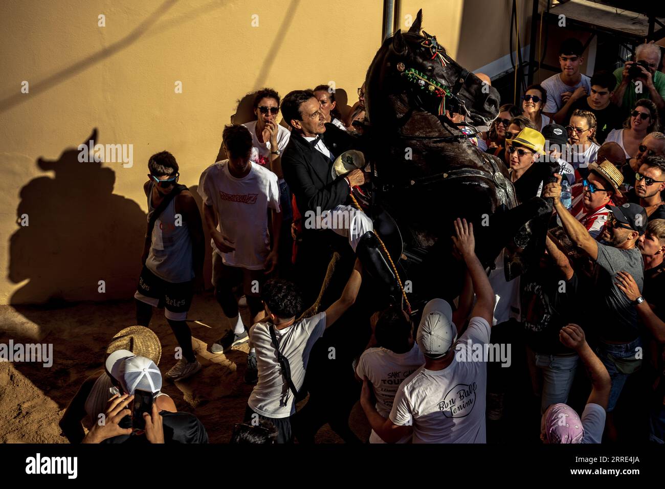 Mahon, Spain. 7th Sep, 2023. A 'caixer' (horse rider) rears up on his ...