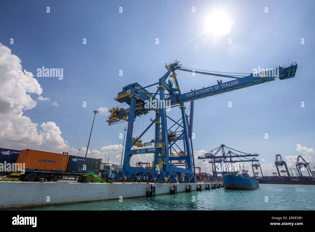 220128 -- CHONBURI, Jan. 28, 2022 -- Photo taken on Jan. 24, 2022 shows ...