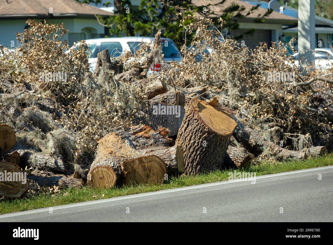 Piles of tree rubbish on road side for recovery truck pickup after ...