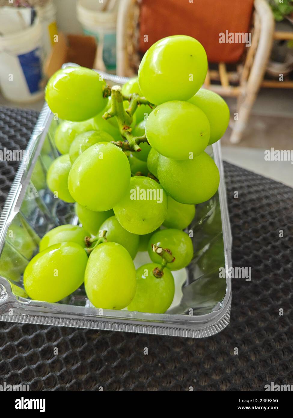 Shine muscat grape hi-res stock photography and images - Alamy