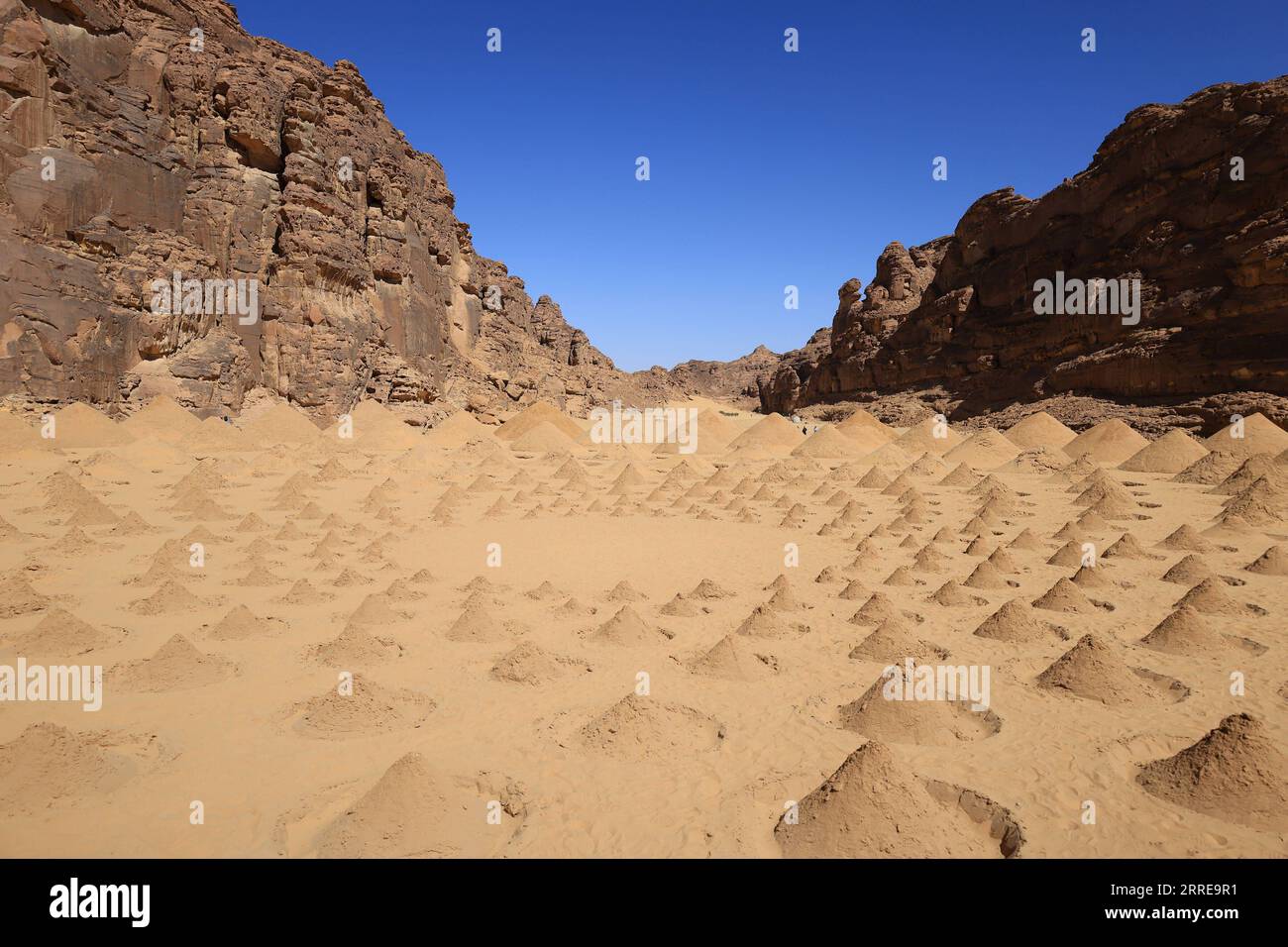 220212 -- ALULA, Feb. 12, 2022 -- Photo taken on Feb. 11, 2022 shows ...