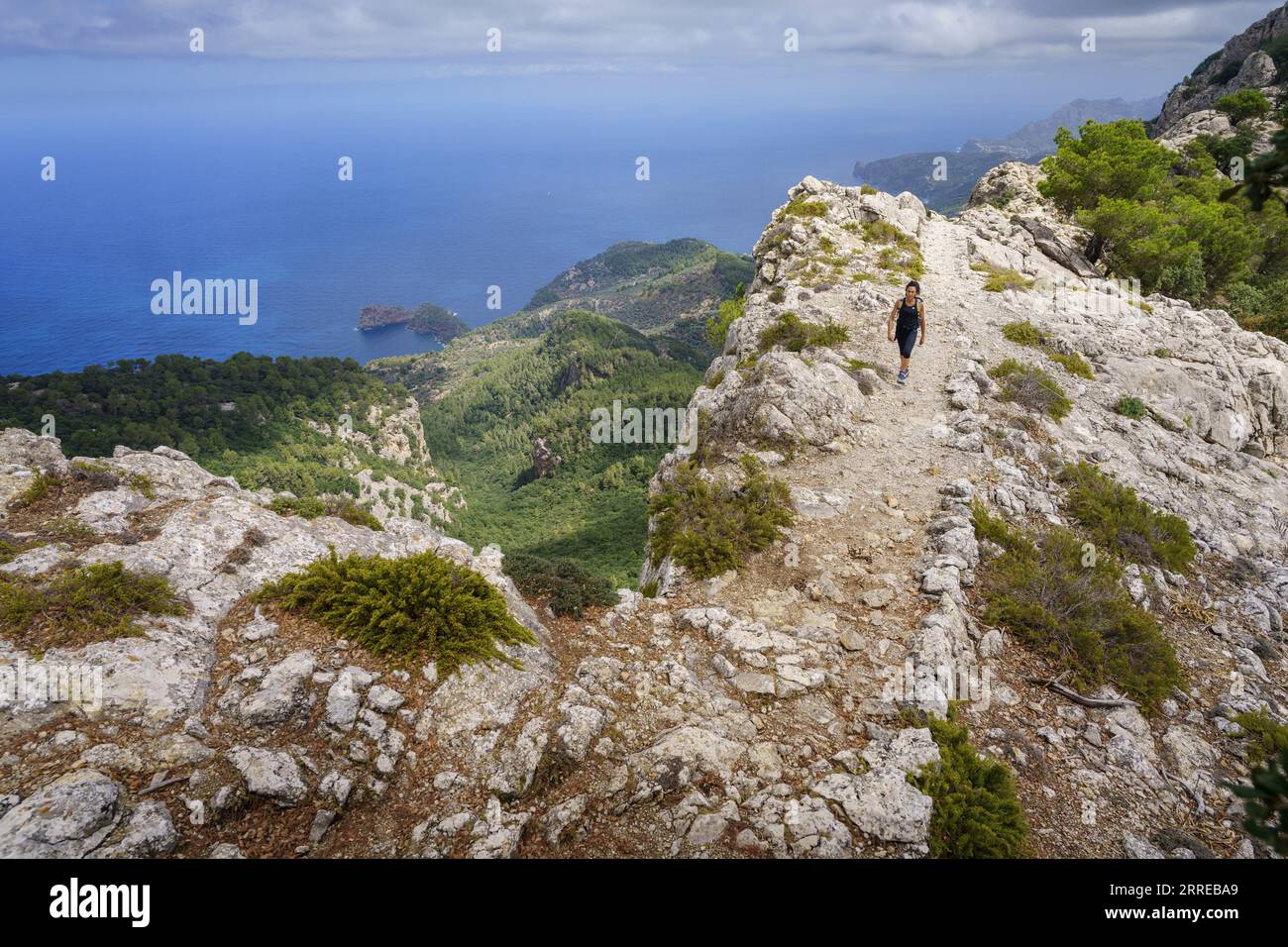 middle-aged woman walking Camí de s'Arxiduc route, Valldemossa, Majorca ...