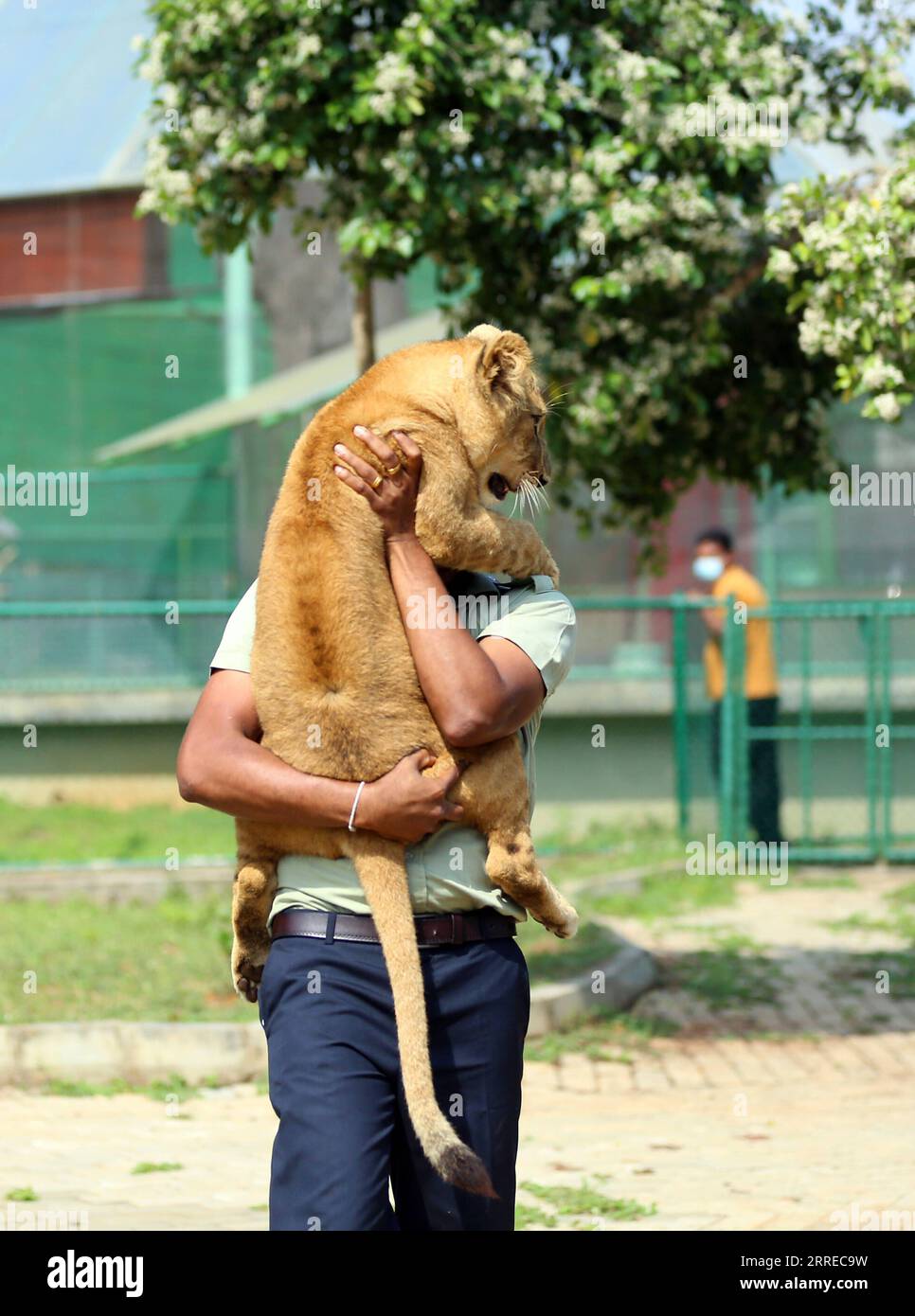 220218 -- COLOMBO, Feb. 18, 2022 -- A zoo doctor holds a lion cub at Ridiyagama Safari Park, in ...