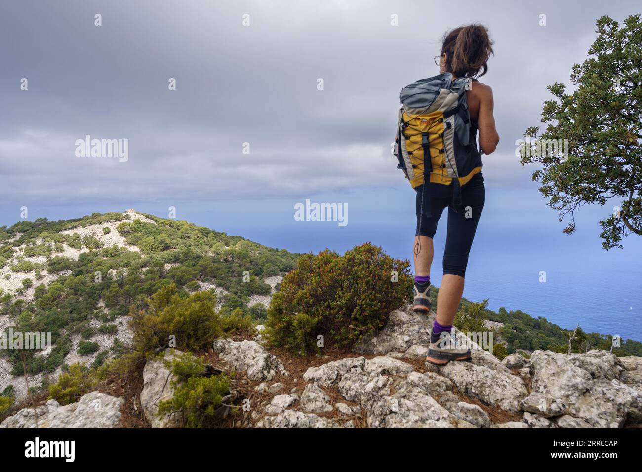 middle-aged woman walking Camí de s'Arxiduc route, Valldemossa, Majorca ...