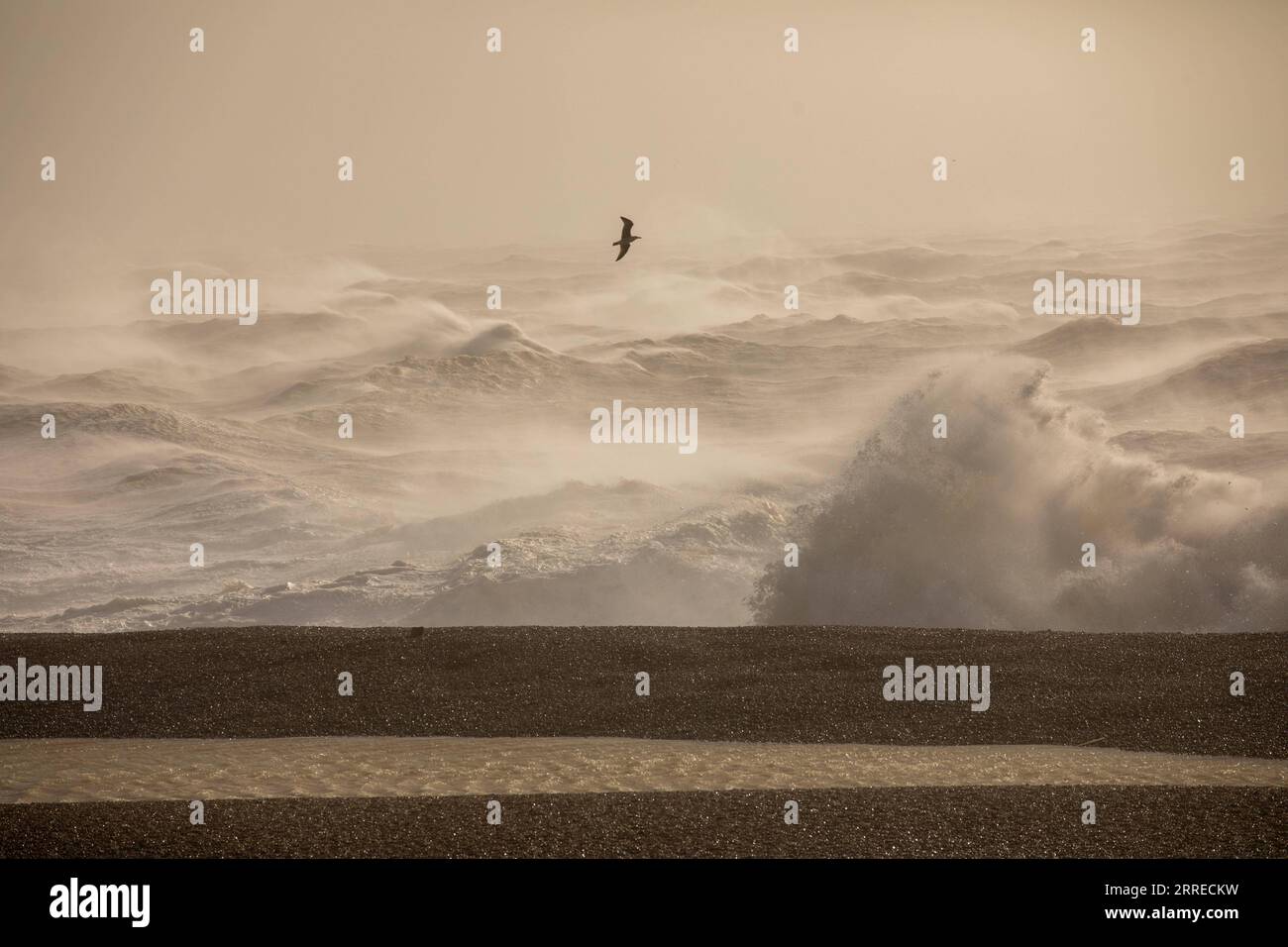 220219 -- LONDON, Feb. 19, 2022 -- Photo taken on Feb. 18, 2022 shows ...