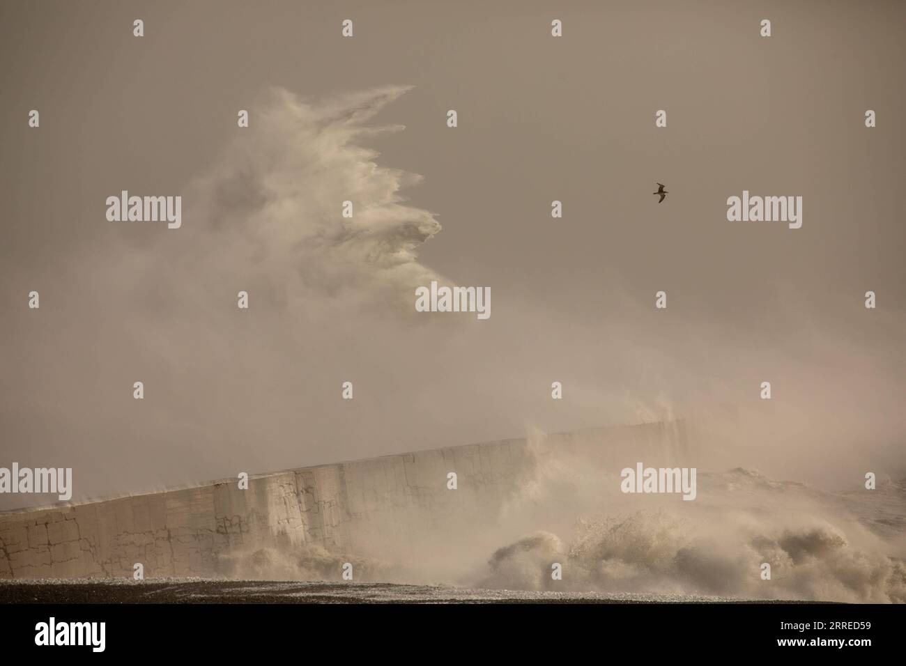 220219 -- LONDON, Feb. 19, 2022 -- Photo taken on Feb. 18, 2022 shows ...