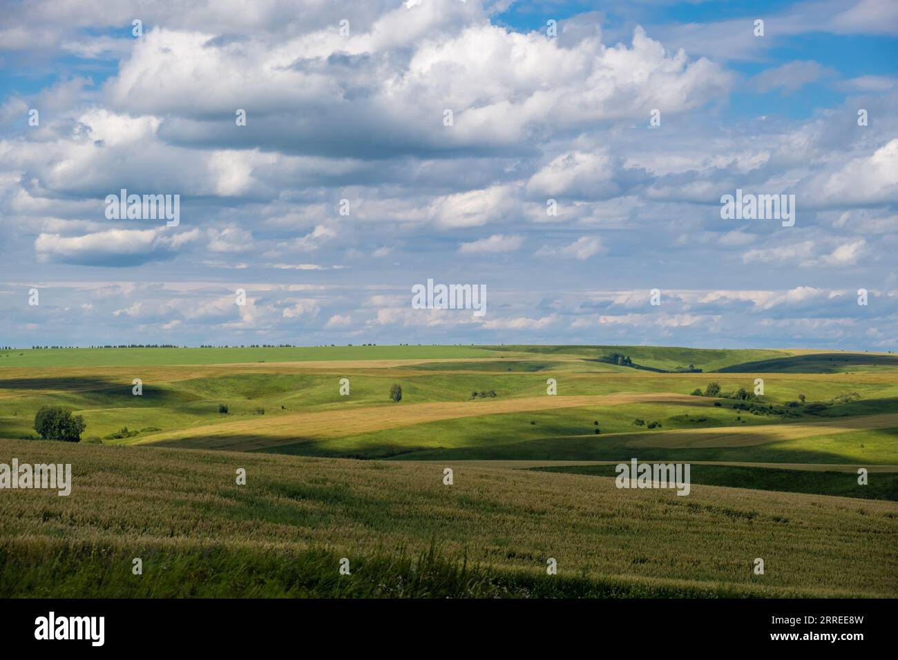 Green grass field on small hills and blue sky with clouds Stock Photo ...