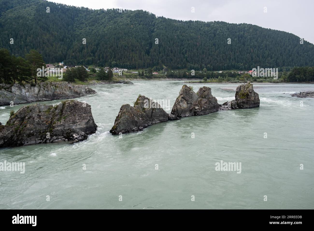 A wide, full-flowing mountain river with a fast current Stock Photo - Alamy