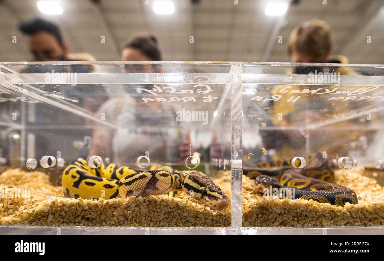 220227 -- MISSISSAUGA CANADA, Feb. 27, 2022 -- People look at pet ...