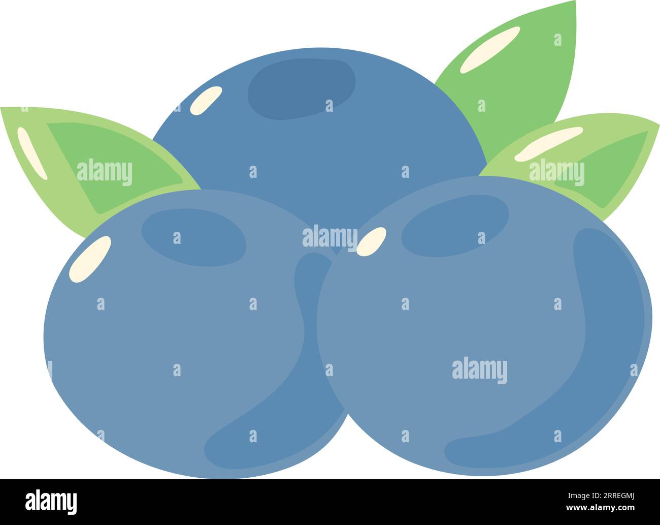 blueberries fruit icon Stock Vector Image & Art - Alamy