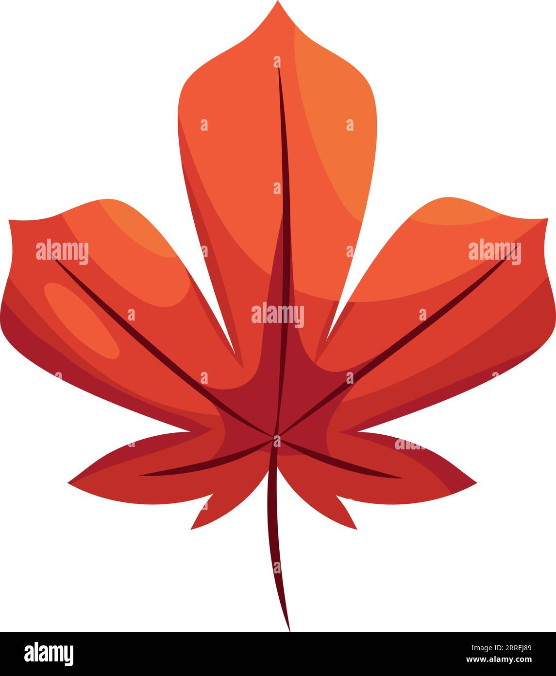 maple leaf autumn icon Stock Vector Image & Art - Alamy