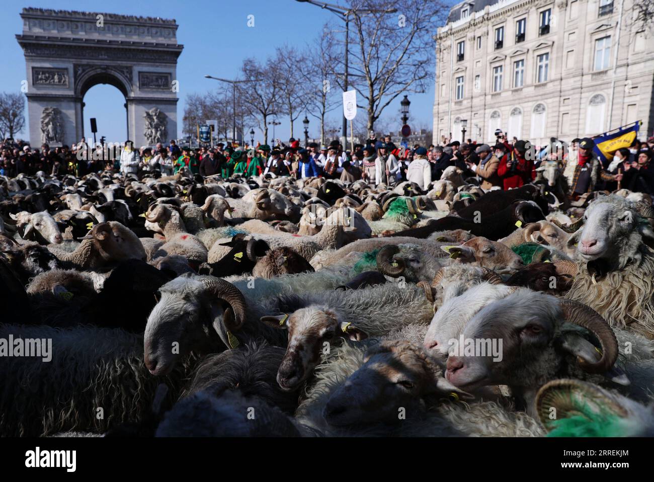 220307 -- PARIS, March 7, 2022 -- A total of 2022 sheep parade on the ...