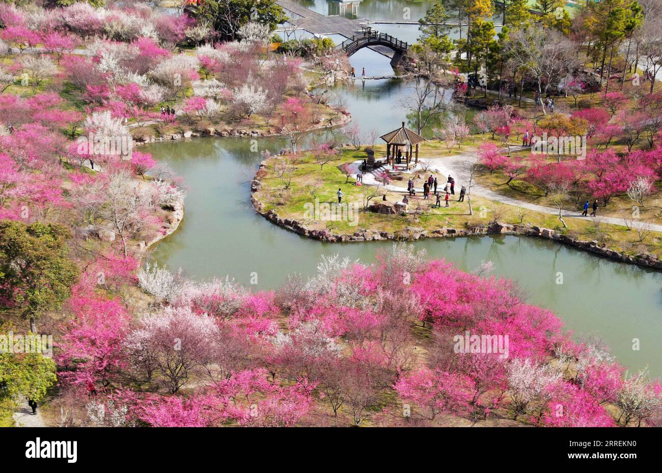 Mengxdelong hi-res stock photography and images - Alamy