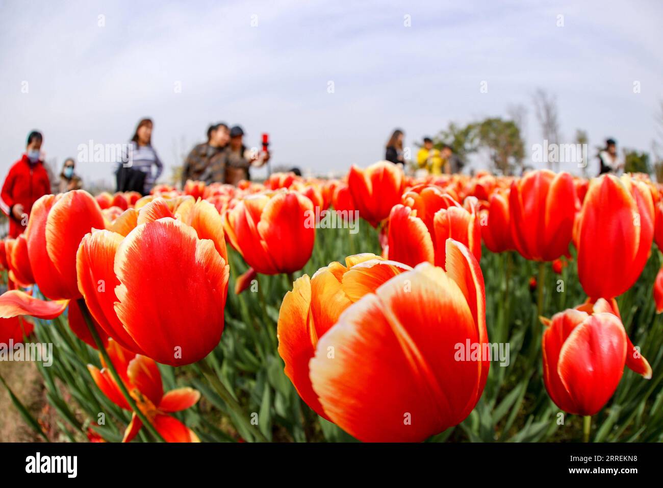 Liuxchangsong hi-res stock photography and images - Alamy