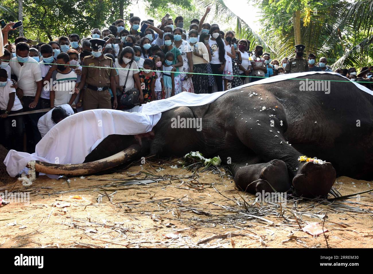 220307 -- GAMPAHA SRI LANKA, March 7, 2022 -- People mourn the death of ...
