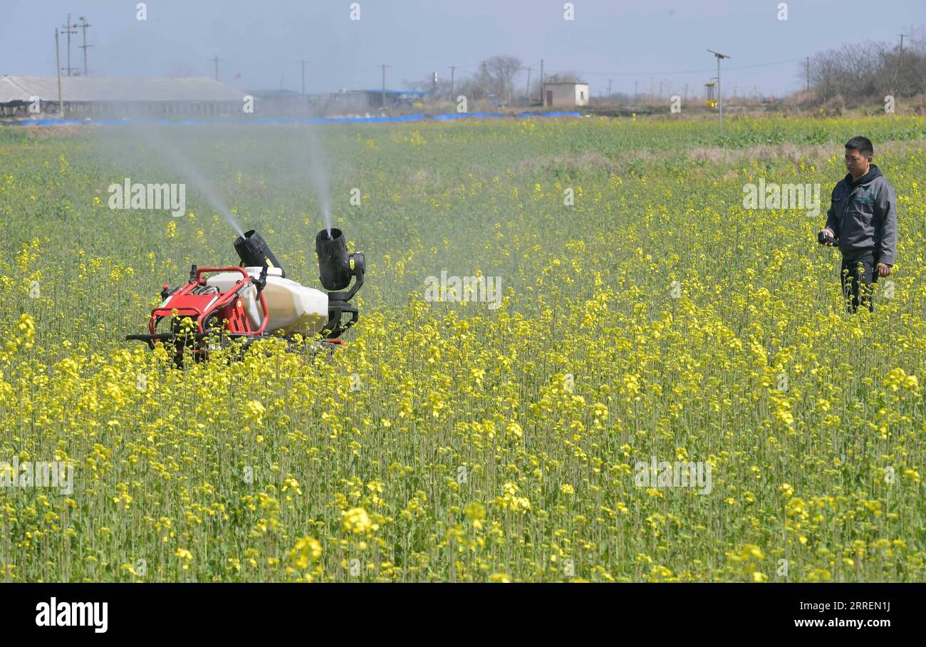 Spring scale and digital hi-res stock photography and images - Alamy
