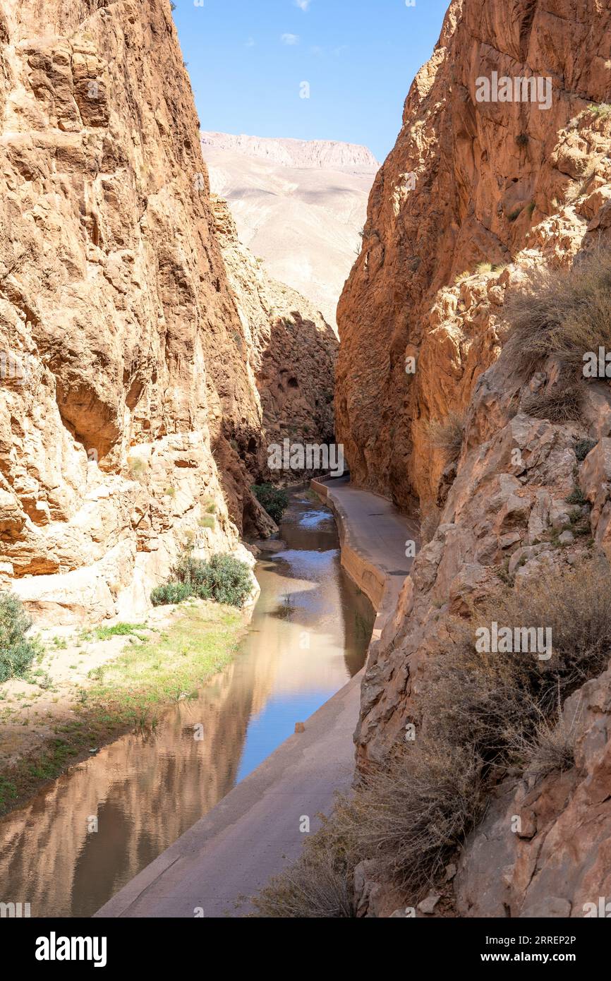 Narrow road through the Dades Gorge Valley Canyon, Atlas Mountains in ...