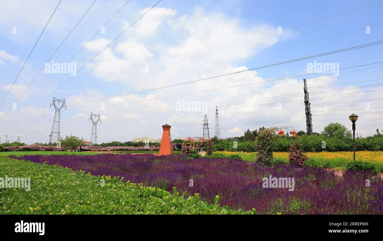 Windmill architecture in the park, North China Stock Photo - Alamy