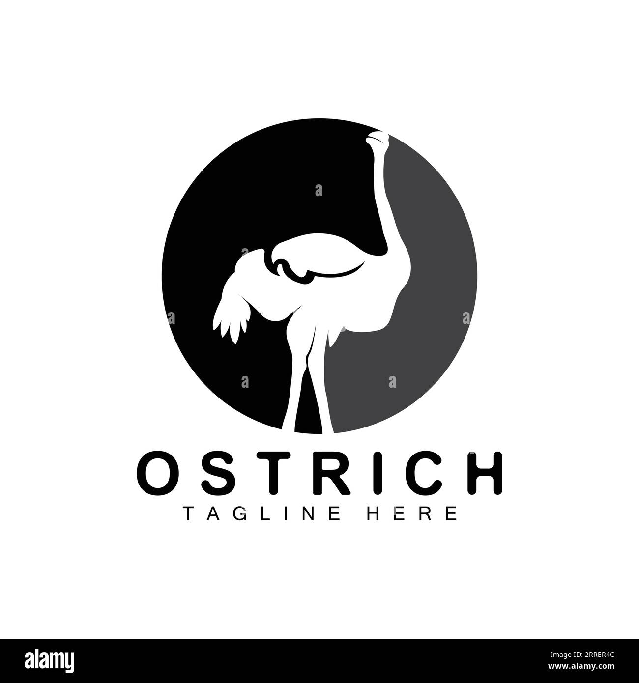 Ostrich Logo Design, Desert Animal Illustration, Living In The Forest ...