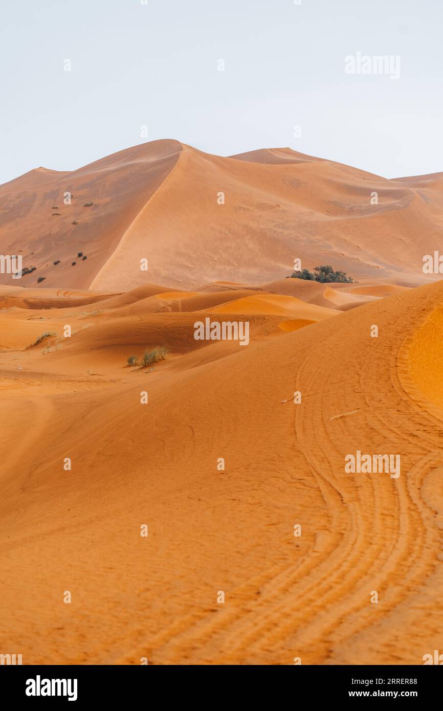 Sand texture in Morocco Sahara Merzouga Desert after a rainy day Stock ...