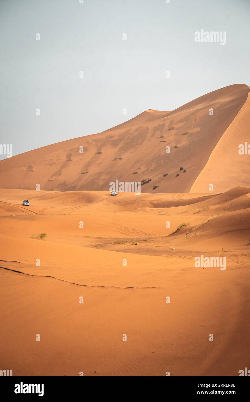 Sand texture in Morocco Sahara Merzouga Desert after a rainy day Stock ...