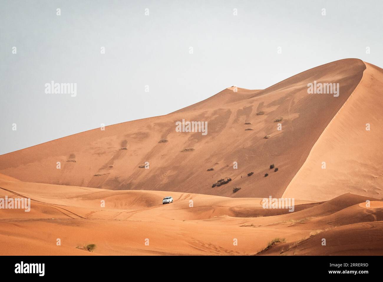 Sand texture in Morocco Sahara Merzouga Desert after a rainy day Stock ...