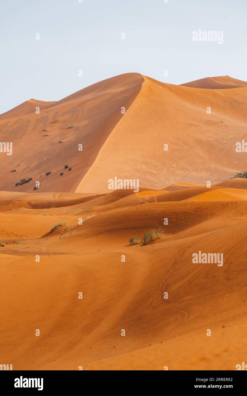 Sand texture in Morocco Sahara Merzouga Desert after a rainy day Stock ...