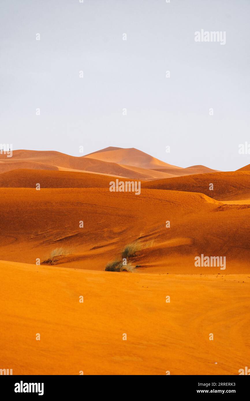 Sand texture in Morocco Sahara Merzouga Desert after a rainy day Stock ...