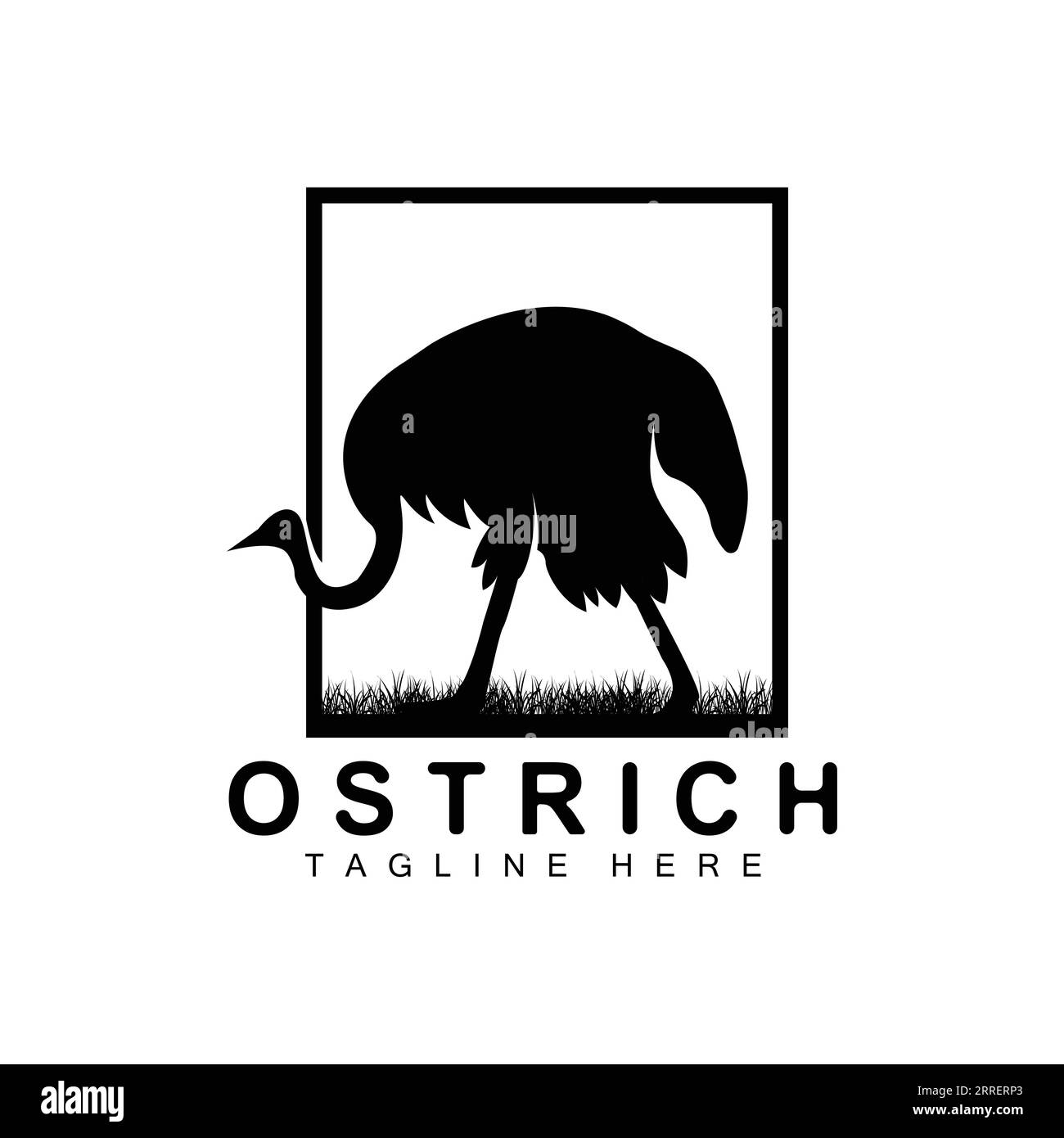 Ostrich Logo Design, Desert Animal Illustration, Living In The Forest ...
