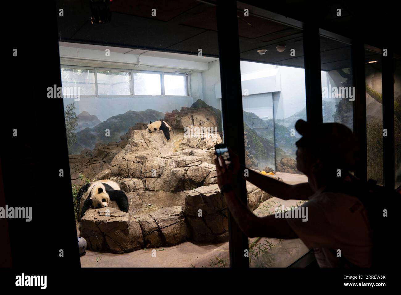 220316 -- WASHINGTON, March 16, 2022 -- A tourist takes photos of giant ...