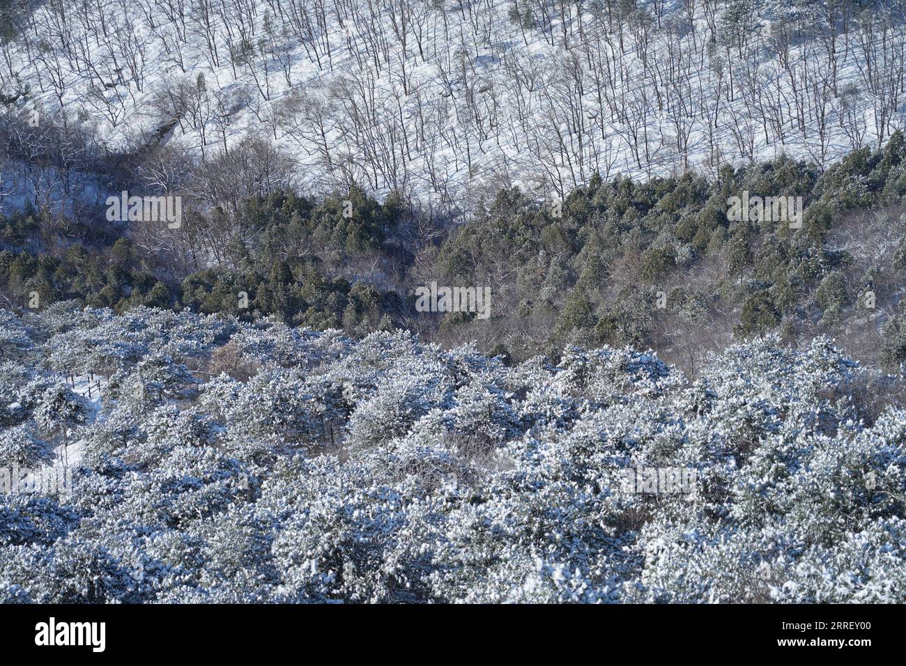 220319 -- BEIJING, March 19, 2022 -- Photo taken on March 19, 2022 ...