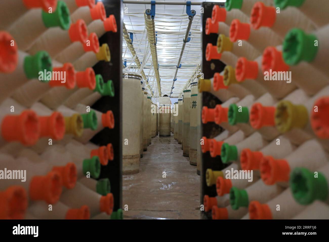 cotton yarn in the workshop of spinning mill Stock Photo - Alamy