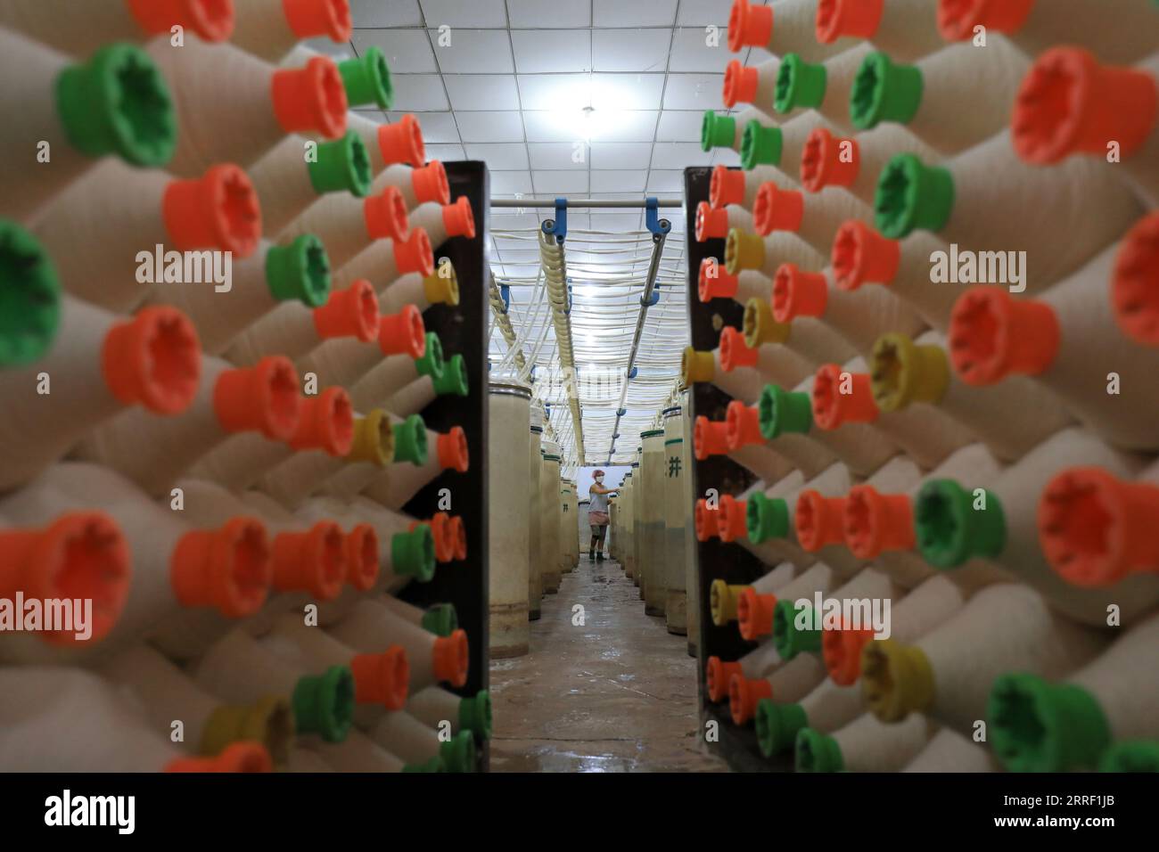 cotton yarn in the workshop of spinning mill Stock Photo - Alamy