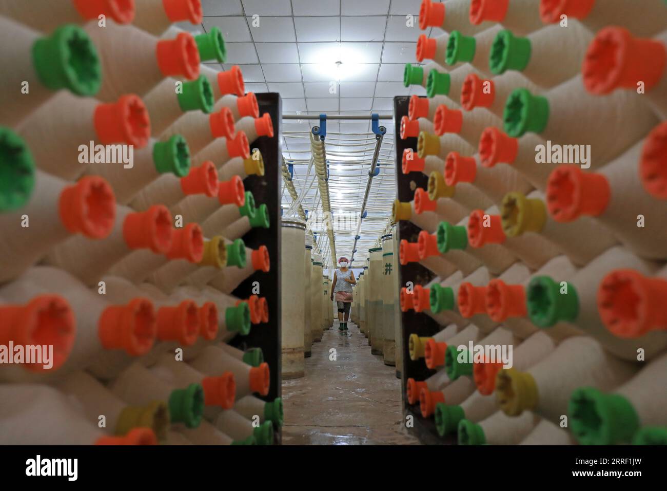 cotton yarn in the workshop of spinning mill Stock Photo - Alamy