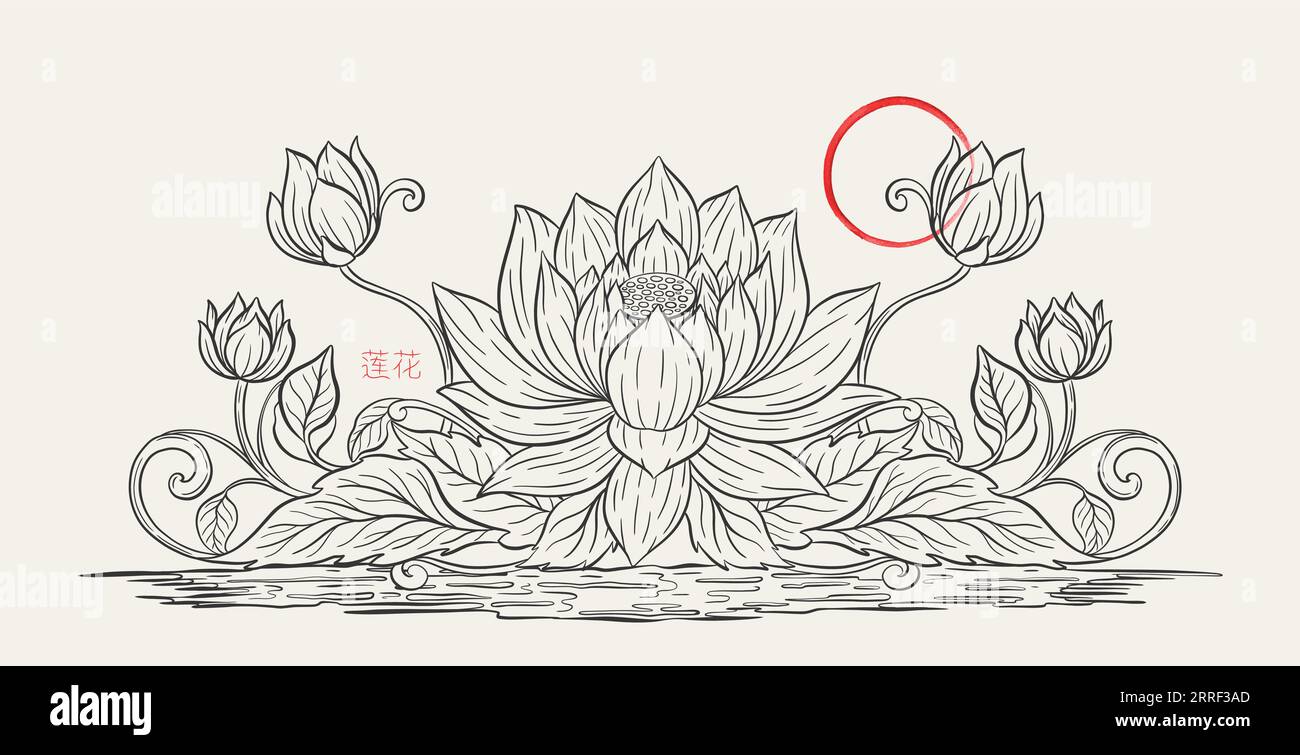 Lotus and leaf sketch with fine graceful lines. Isolated flower on ...