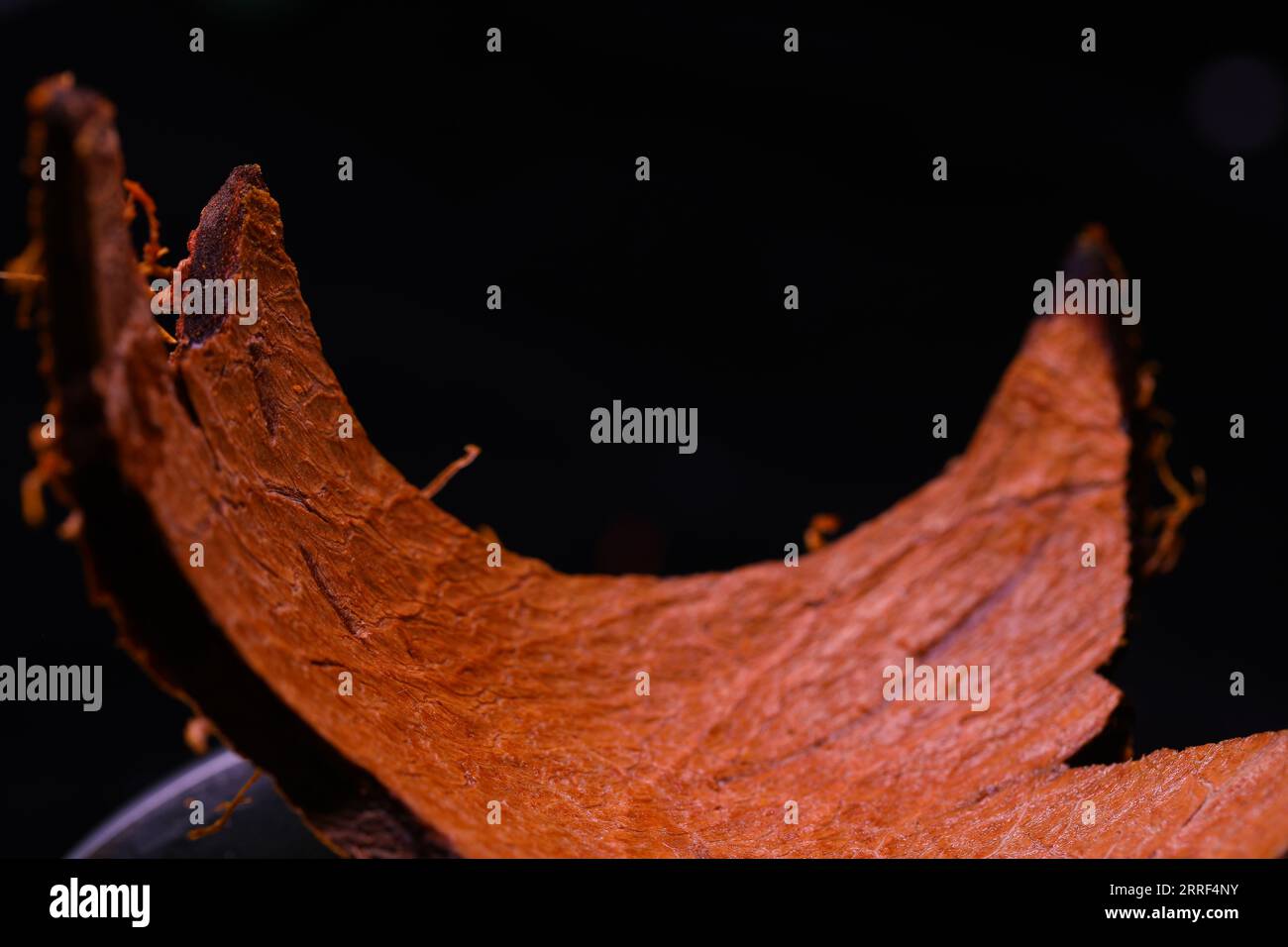 Empty Husk Of Dry Coconut Stock Photo - Alamy